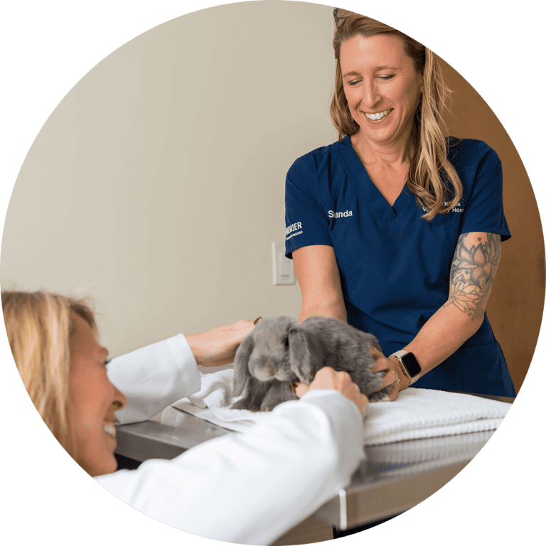 Animal Hospital & Veterinarian in Callaway, MD | All Kinds Veterinary ...